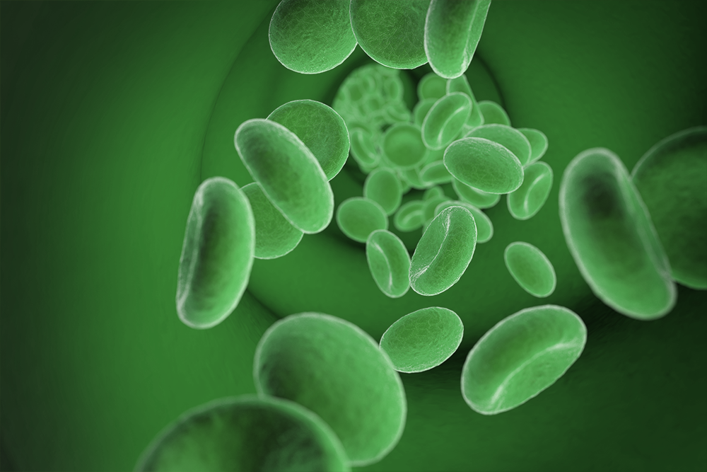 What is CBD Bioavailability and Why does it Matter? - CBDWellness