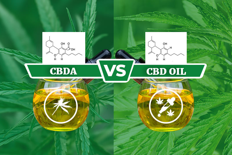 Difference between CBD and CBDa? - CBDWellness